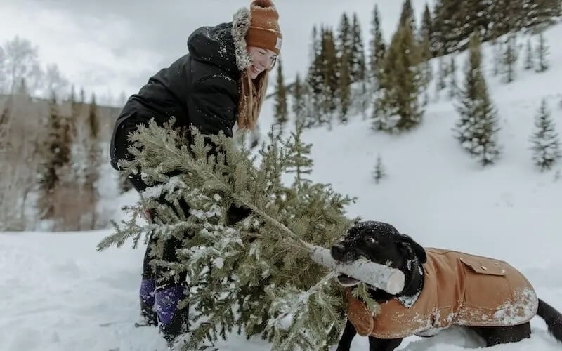 Win a luxurious spa break for two courtesy of Carhartt | Woman Magazine ...