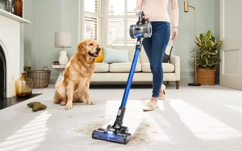 WIN a VAX ONEPWR Blade 4 Pet & Car worth over £250 | House Beautiful ...