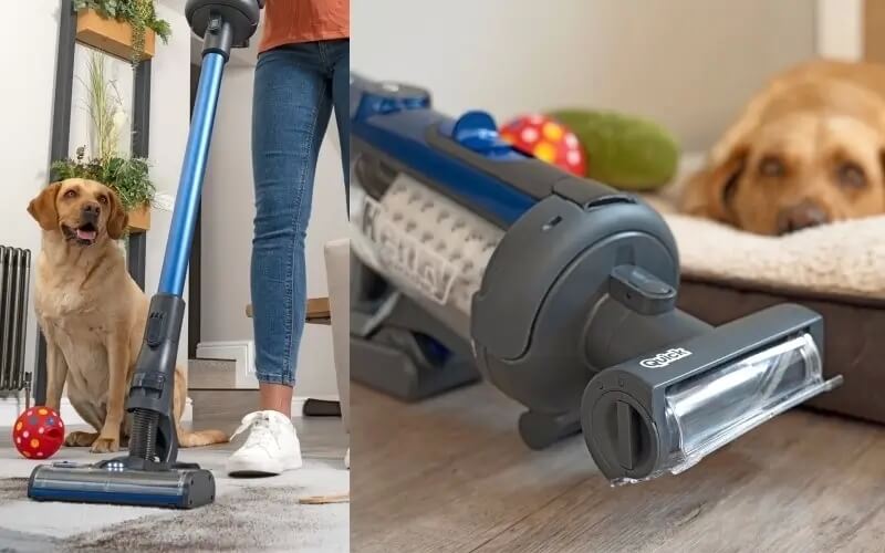 Win a Henry Quick Pet Cordless, Stick Vacuum! | What's On TV Magazine ...