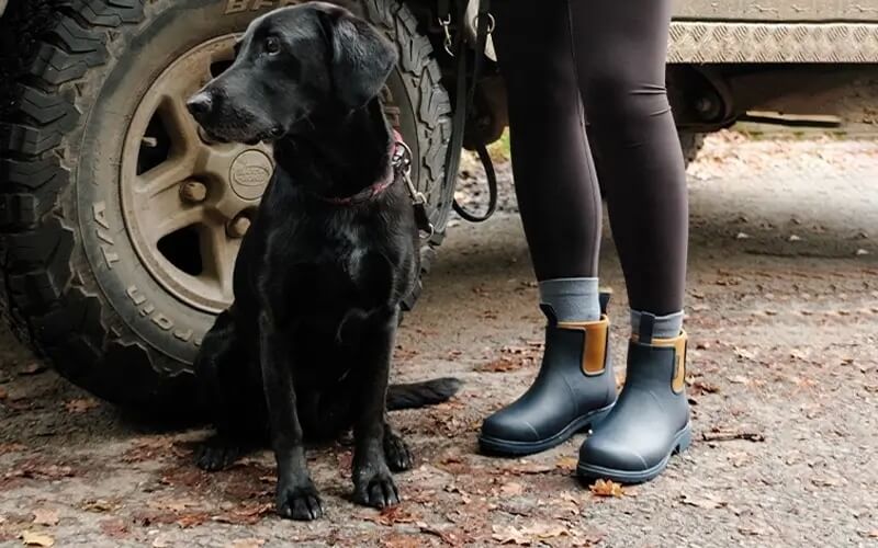 Win A Pair of Merry People's Bobbi Boots for Spring | House Beautiful ...