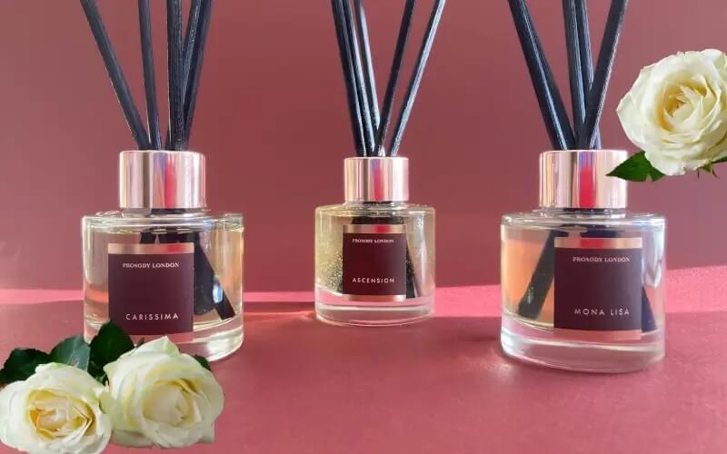 Win a £75 Renaissance Art Diffuser set | House Beautiful Competitions