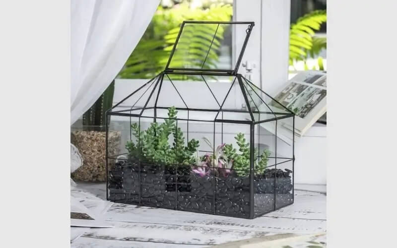 Win a glass plant terrarium | Good Housekeeping Competitions